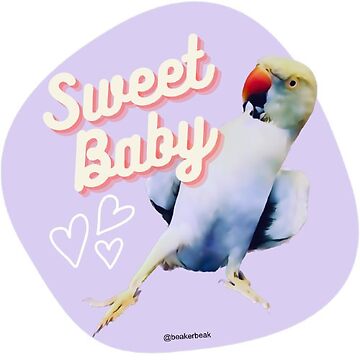 "Sweet Baby" Sticker for Sale by BeakerBeak | Redbubble
