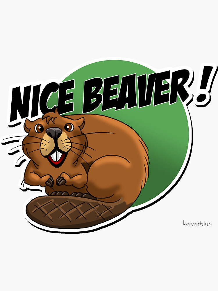 "Nice Beaver!" Sticker for Sale by 4everblue | Redbubble