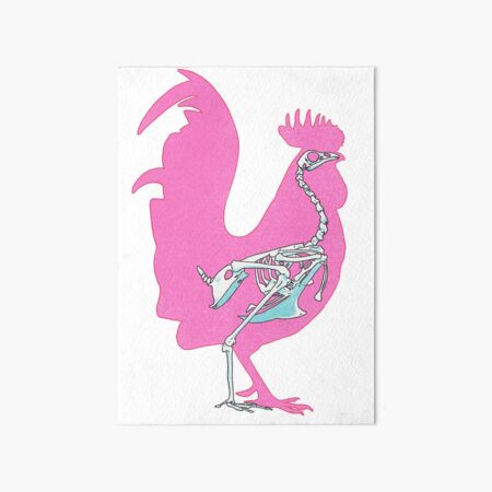 "Chicken cross section" Art Board Print for Sale by tarmacprints ...