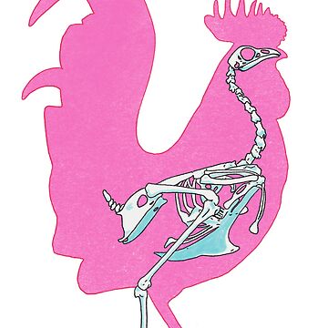 "Chicken cross section" Art Board Print for Sale by tarmacprints ...