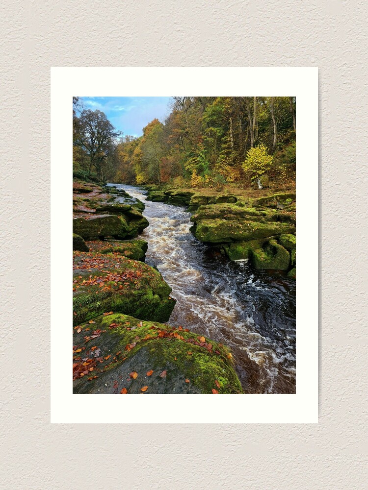 "Colours of the Strid" Art Print for Sale by venturousfeli | Redbubble