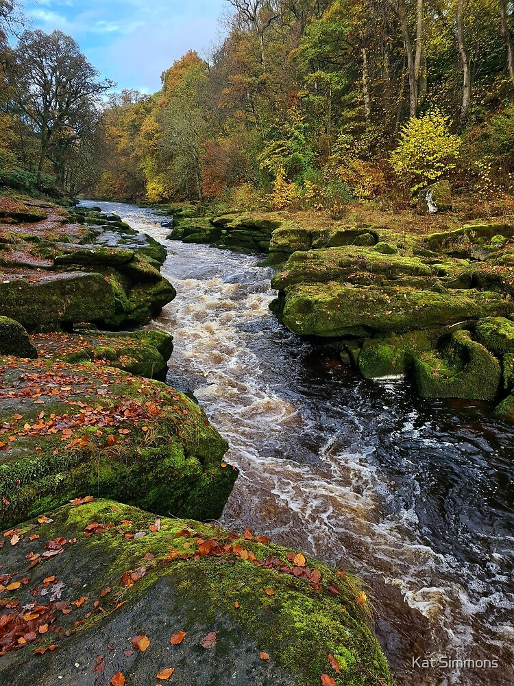 "Colours of the Strid" Art Print for Sale by venturousfeli | Redbubble