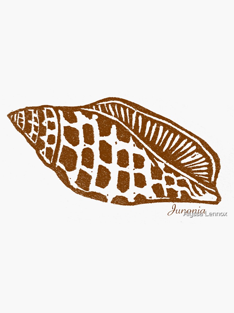 Junonia Shell
