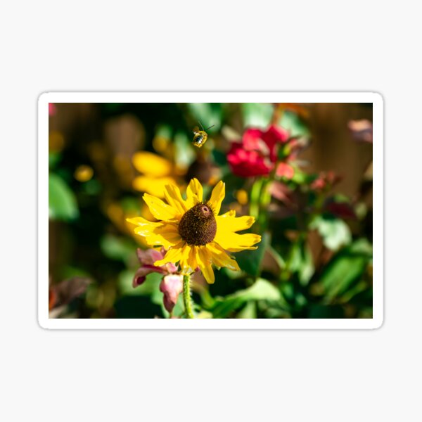 "Bee In Flower Garden" Sticker for Sale by Danny Key | Redbubble