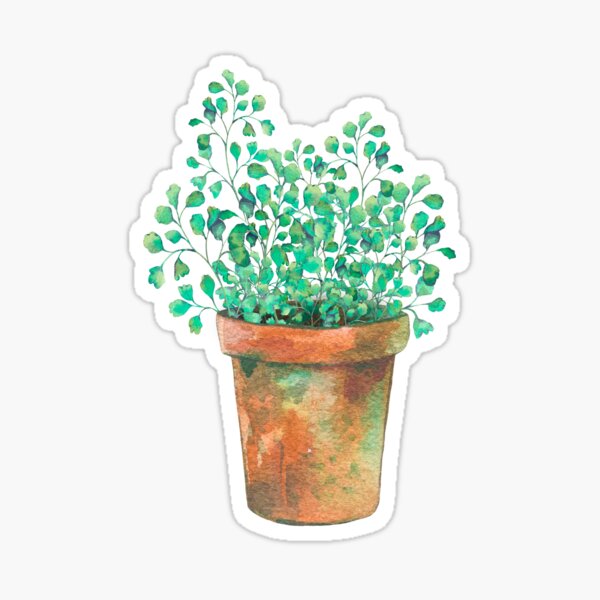 "Watercolor green plants in pot. " Sticker by DePiano | Redbubble