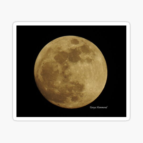 "Mystical Full Moon" Sticker for Sale by TanyaHammond | Redbubble