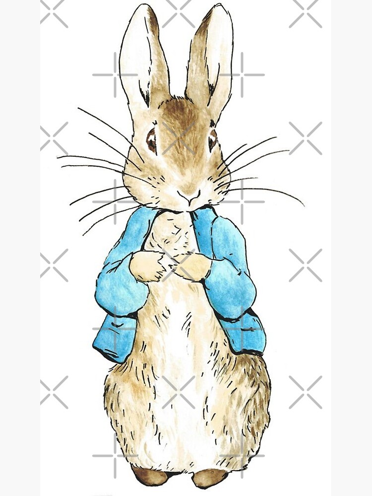 "Peter Rabbit - Beatrix Potter" Art Print for Sale by BrambleBox ...