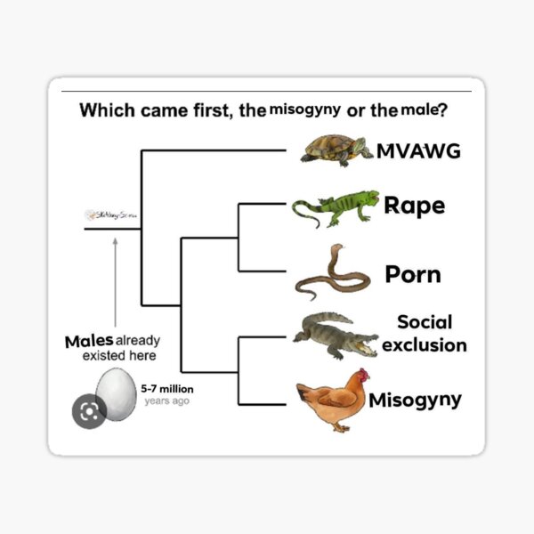 Misogyny Merch & Gifts for Sale | Redbubble