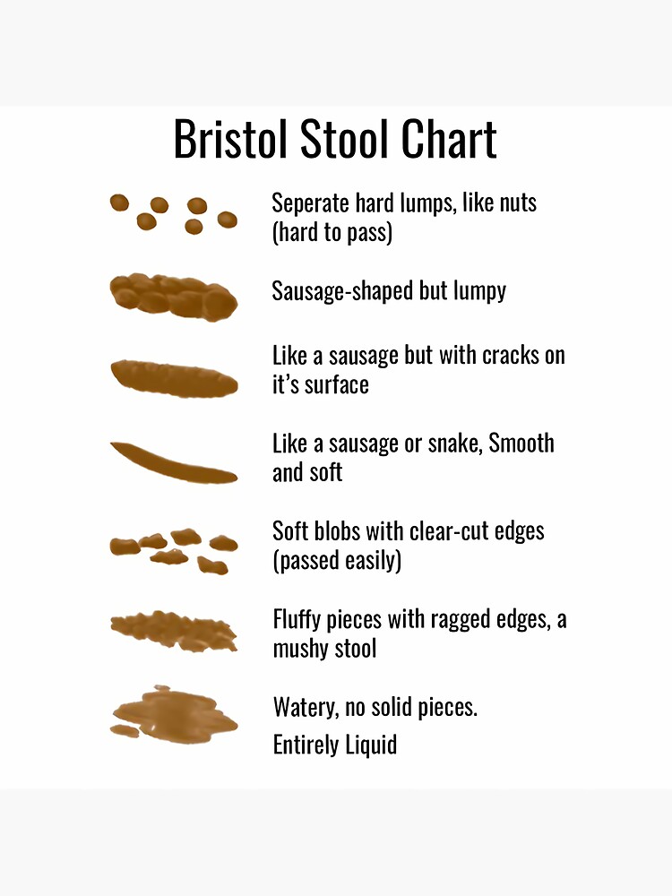 "Bristol Stool Chart " Sticker for Sale by rhguoezpmi4 | Redbubble
