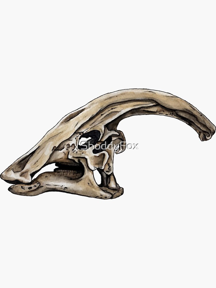 "Parasaur Skull" Sticker for Sale by ShoddyFox | Redbubble