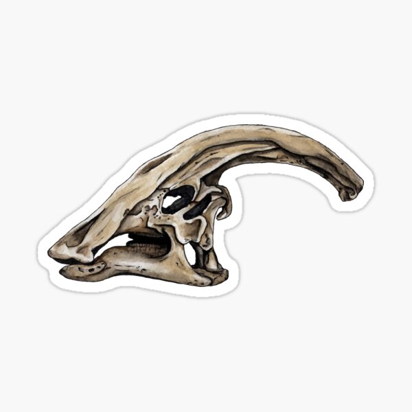 "Parasaur Skull" Sticker for Sale by ShoddyFox | Redbubble