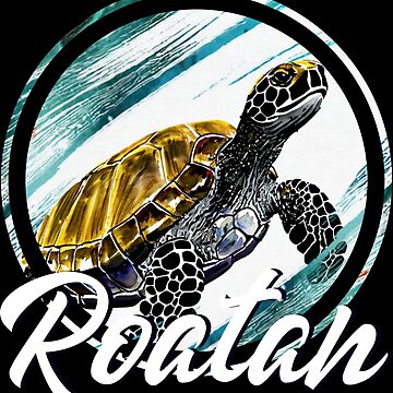 "Roatan Turtle" Sticker for Sale by Gustavo Navarro | Redbubble