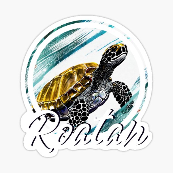 "Roatan Turtle" Sticker for Sale by Gustavo Navarro | Redbubble