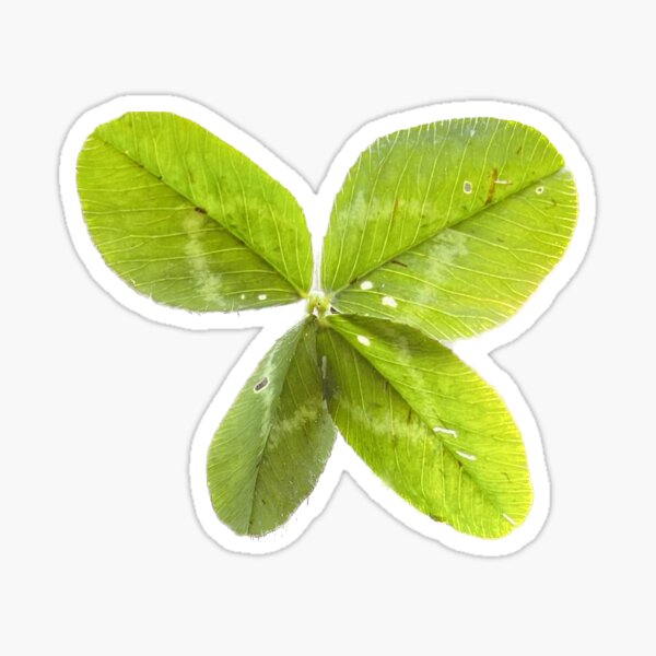 "Four Leaf Clover Aesthetic " Sticker for Sale by Forestfaeshroom ...