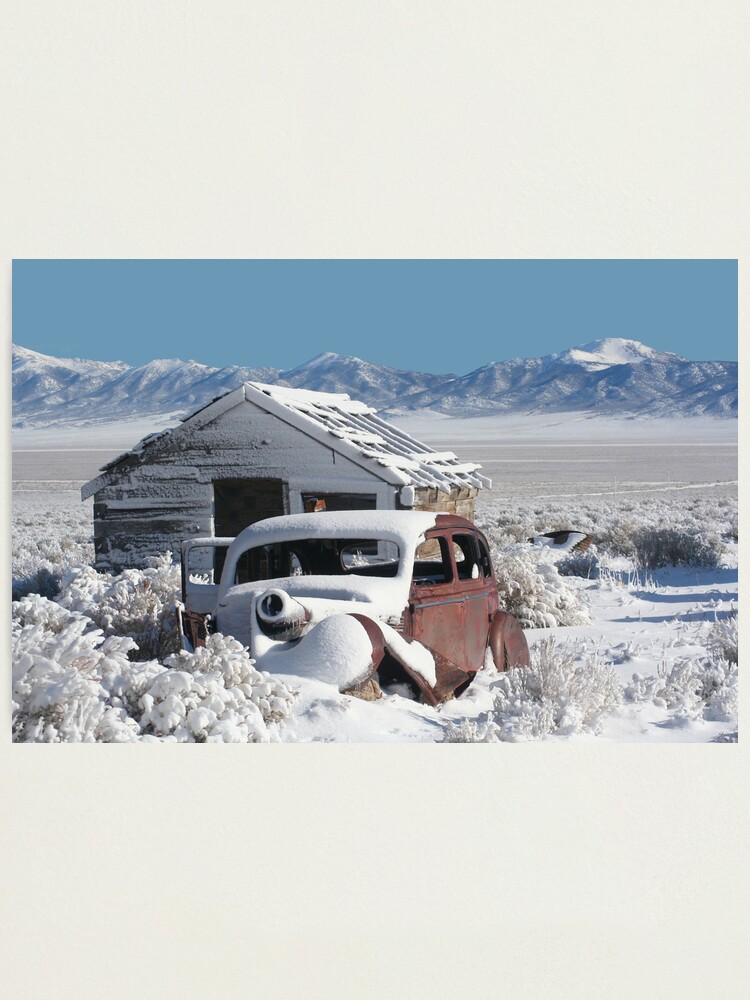 "Cold And Lonely" Photographic Print for Sale by Arla Ruggles | Redbubble