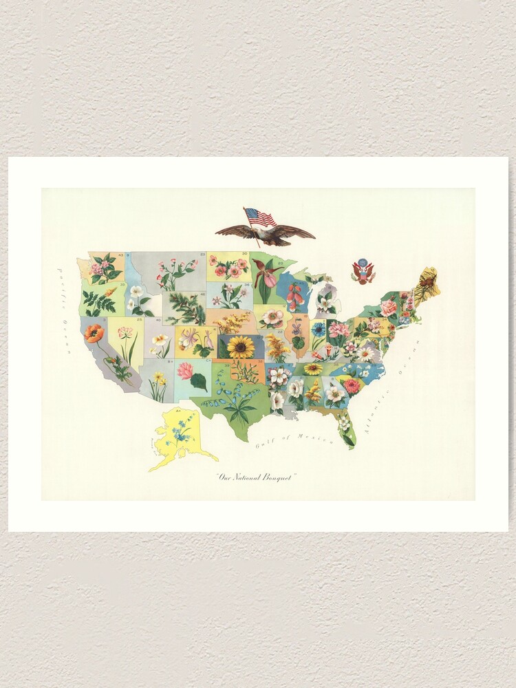 "Vintage US State Flower Map (1911)" Art Print for Sale by BravuraMedia ...