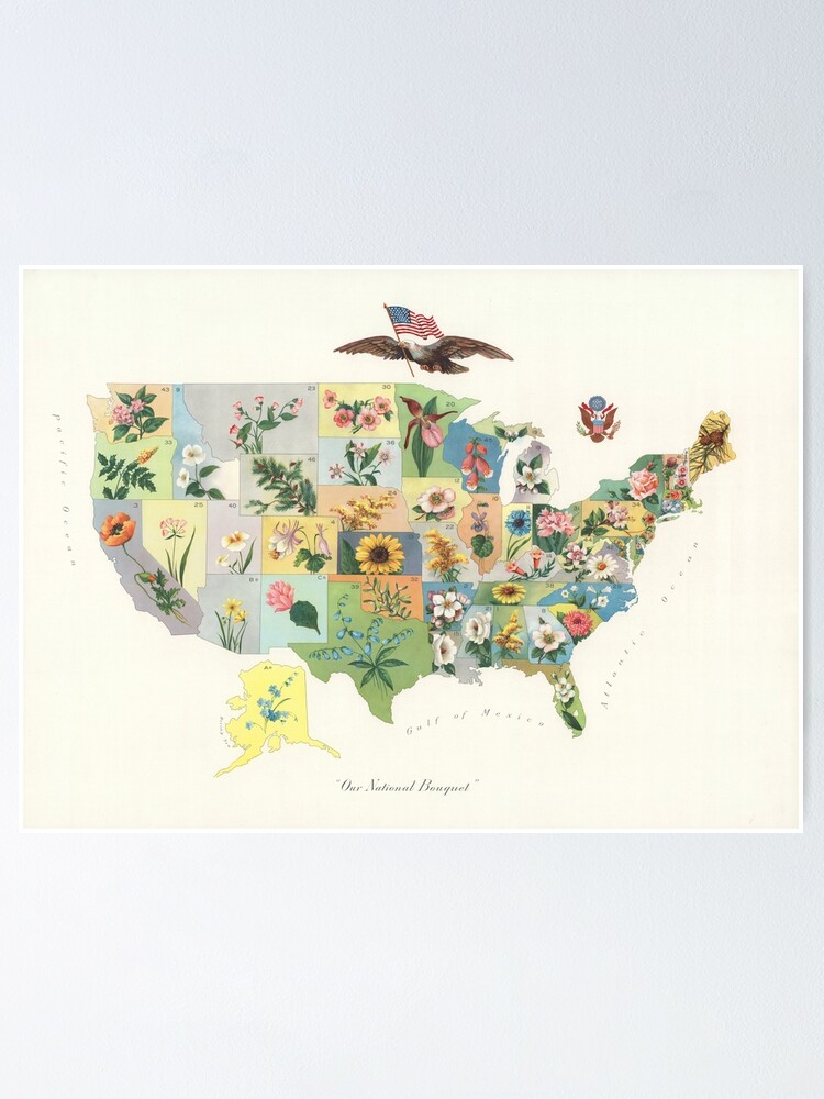 "Vintage US State Flower Map (1911)" Poster for Sale by BravuraMedia ...