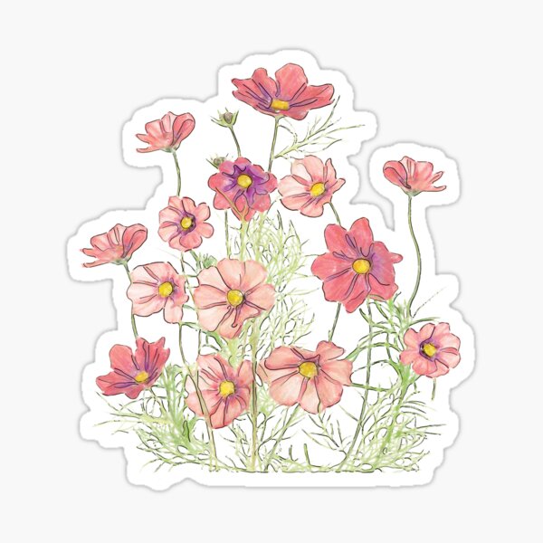 "Cosmos Flowers - Red" Sticker for Sale by Pavnud | Redbubble