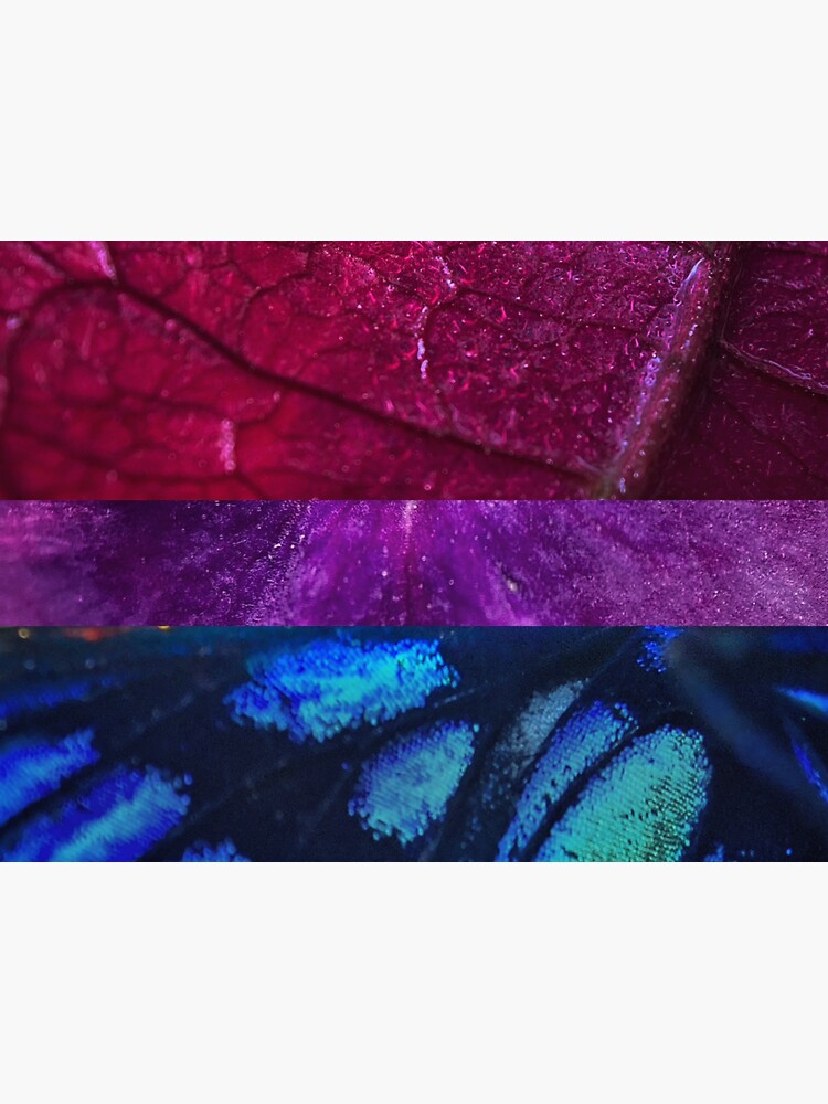 "Bi pride flag natural patterns - a bi pride flag made from natures ...