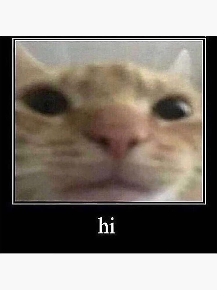 "Hi Cat Meme" Sticker for Sale by TameshaAdair | Redbubble