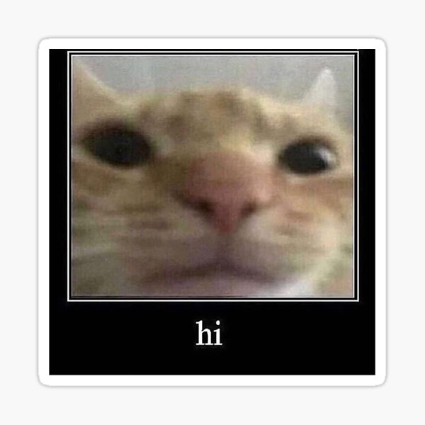 "Hi Cat Meme" Sticker for Sale by TameshaAdair | Redbubble
