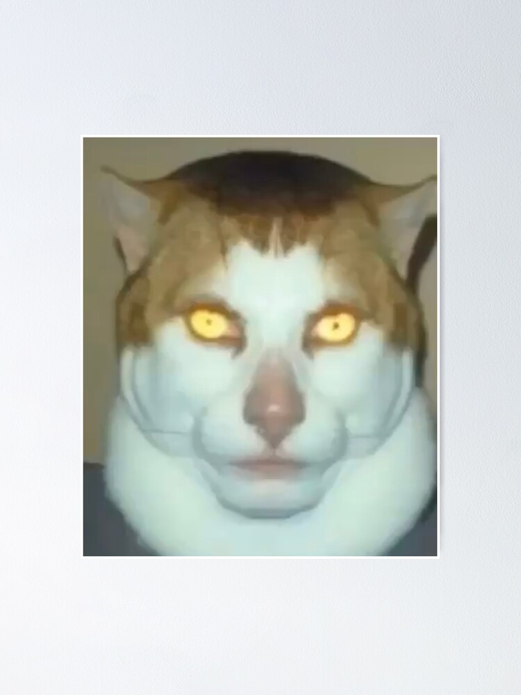 "Monday Left Me Broken Cat" Poster for Sale by KebabStand | Redbubble