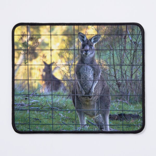"Skippy at the Gate - Mount Alexander, Victoria" Mouse Pad for Sale by ...