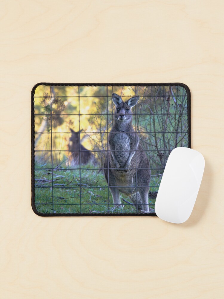 "Skippy at the Gate - Mount Alexander, Victoria" Mouse Pad for Sale by ...