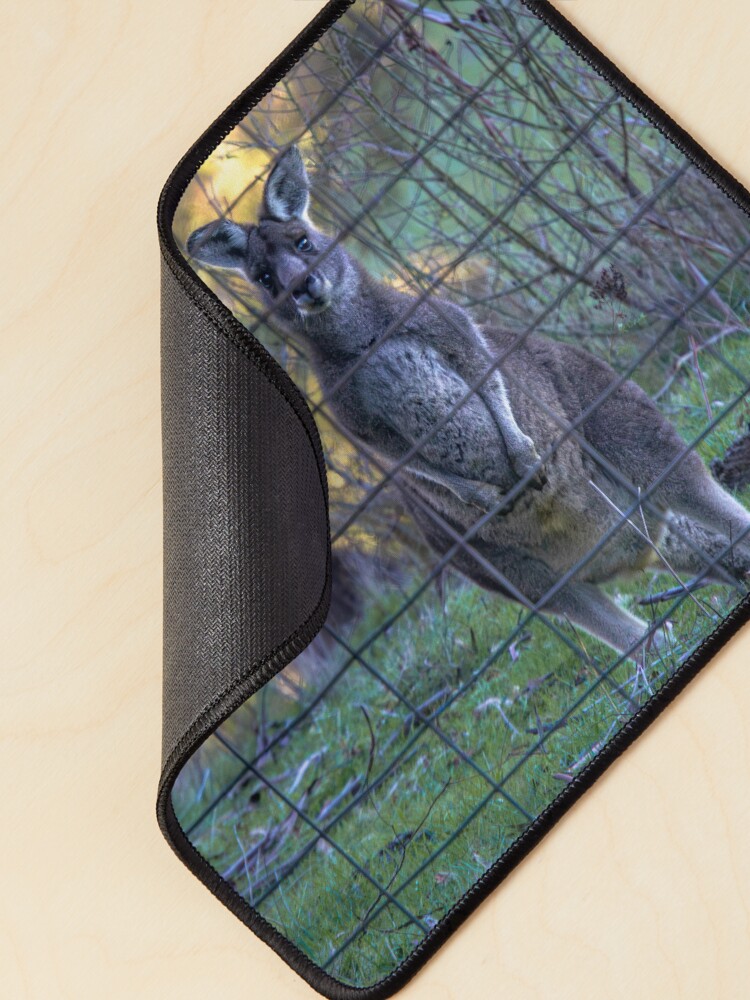 "Skippy at the Gate - Mount Alexander, Victoria" Mouse Pad for Sale by ...