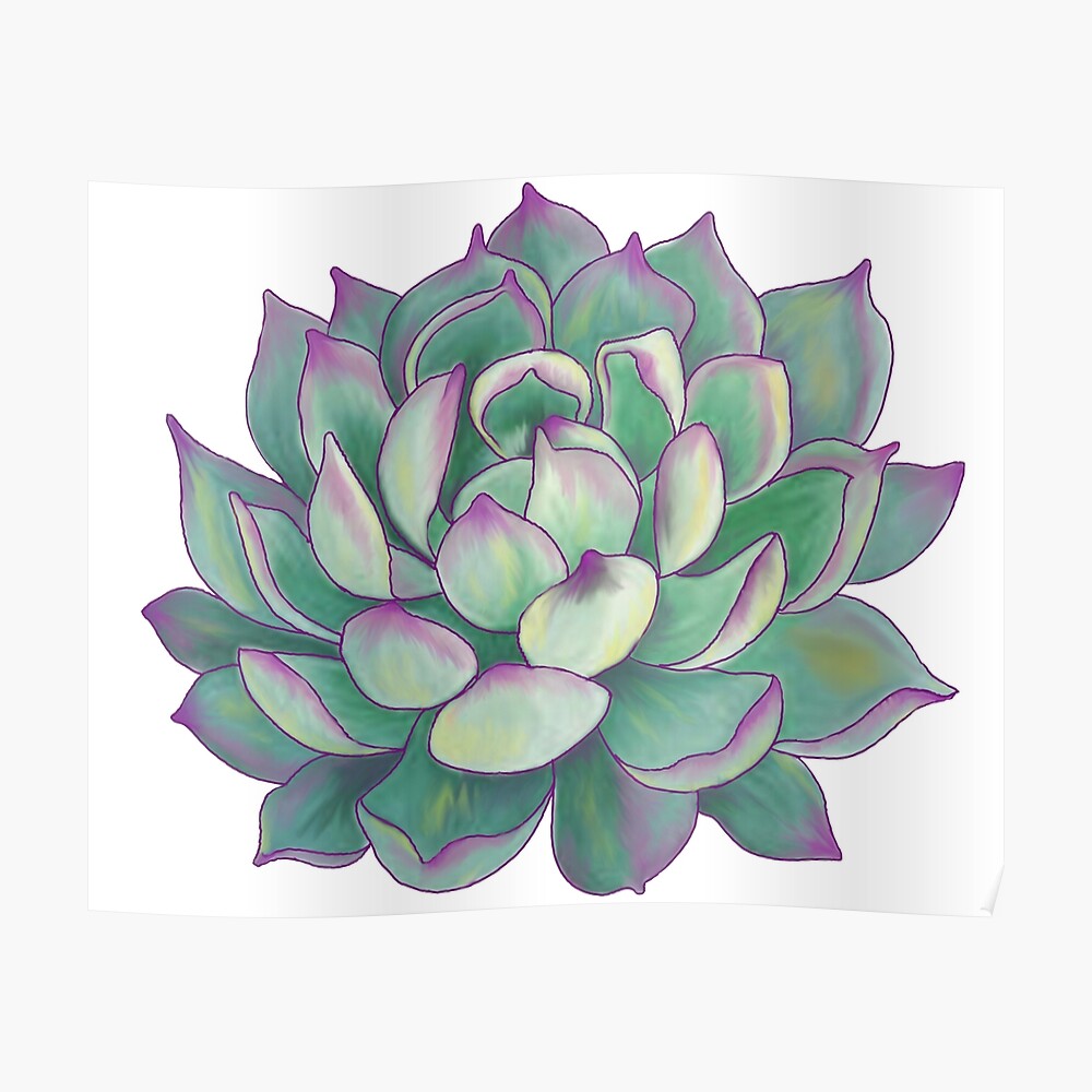 Succulents Poster at Gerald Tapia blog