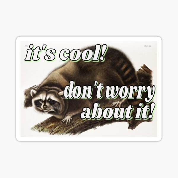 "it's cool! don't worry about it! little guy raccoon" Sticker for Sale ...