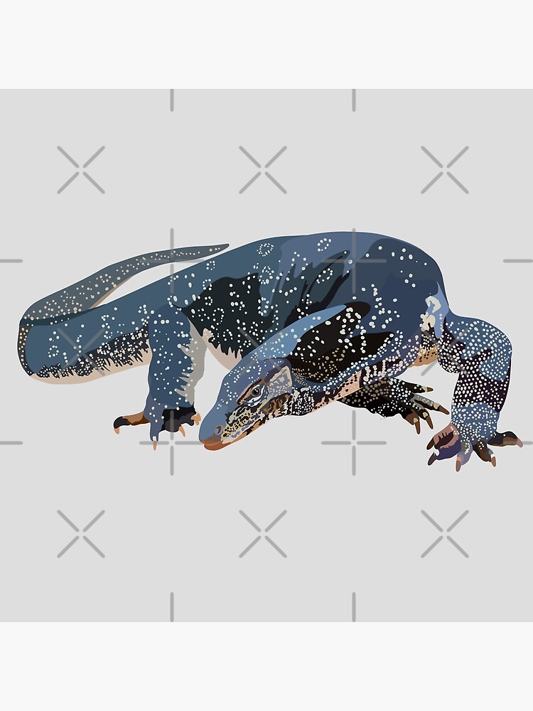 Asian Art Lizards Vincent Van Gecko: Colorful New Lizard Species Named