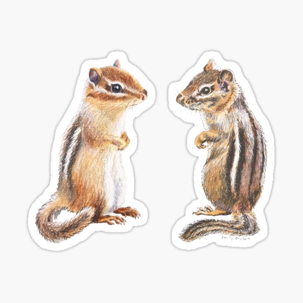"Chipmunk Friends drawing" Sticker for Sale by EmilyBickell | Redbubble