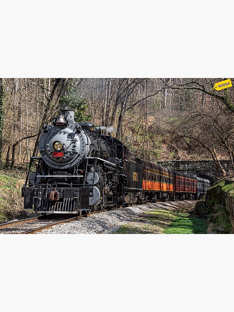 "Southern 4501 Exits Whiteside" Poster for Sale by thenoogarailfan ...