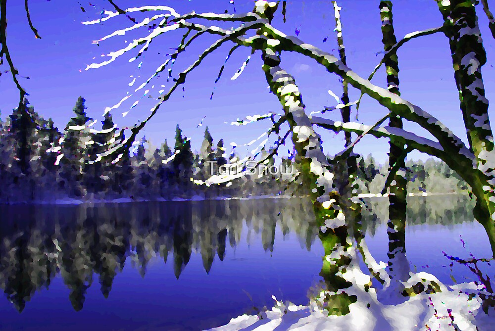 "Painted Winter Reflections" by Tori Snow | Redbubble