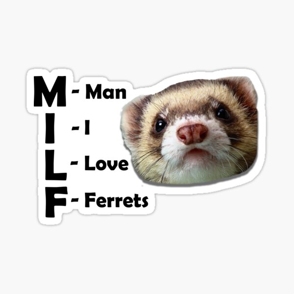 "Man I Love Ferrets" Sticker for Sale by SeanyShirts | Redbubble