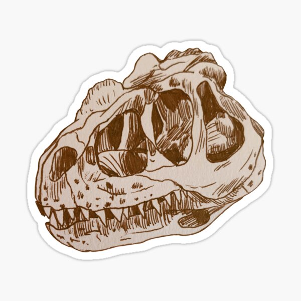 "dino skull- brown" Sticker for Sale by peachberry-jam | Redbubble