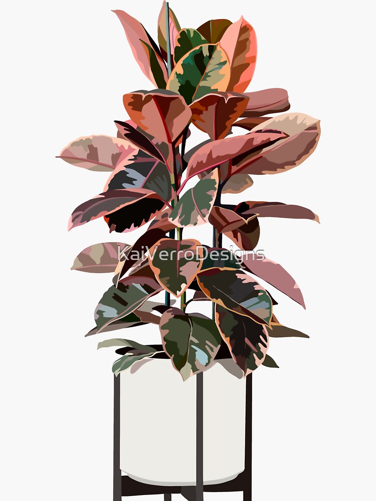 "Tineke Rubber Tree" Sticker for Sale by KaiVerroDesigns | Redbubble