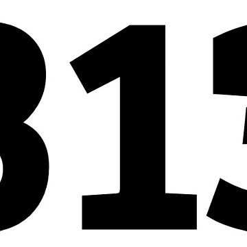 "313" Sticker for Sale by clairekeanna | Redbubble