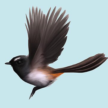 "Beautiful Fantail in flight - Version 2" Sticker for Sale by ...