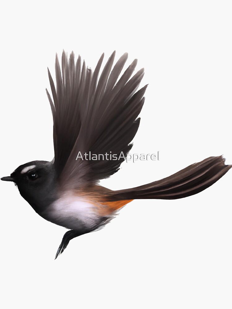 "Beautiful Fantail in flight - Version 2" Sticker for Sale by ...