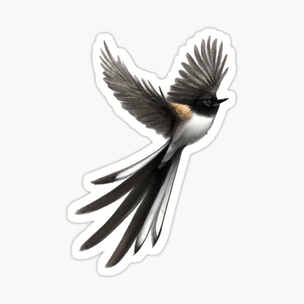 "Beautiful Fantail in flight - Version 4" Sticker for Sale by ...