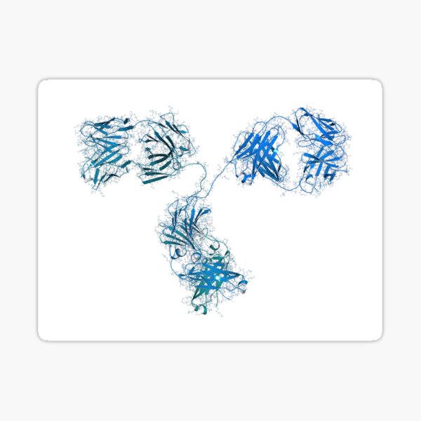 "Monoclonal antibody IgG2a molecule, illustration (F019/2179)" Sticker ...