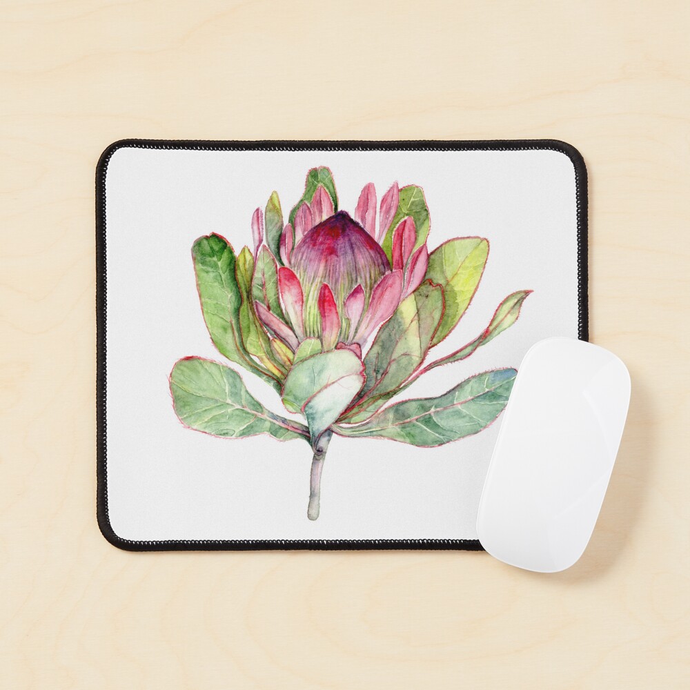 "Protea Flower - Botanical Art" Sticker for Sale by Goosi | Redbubble