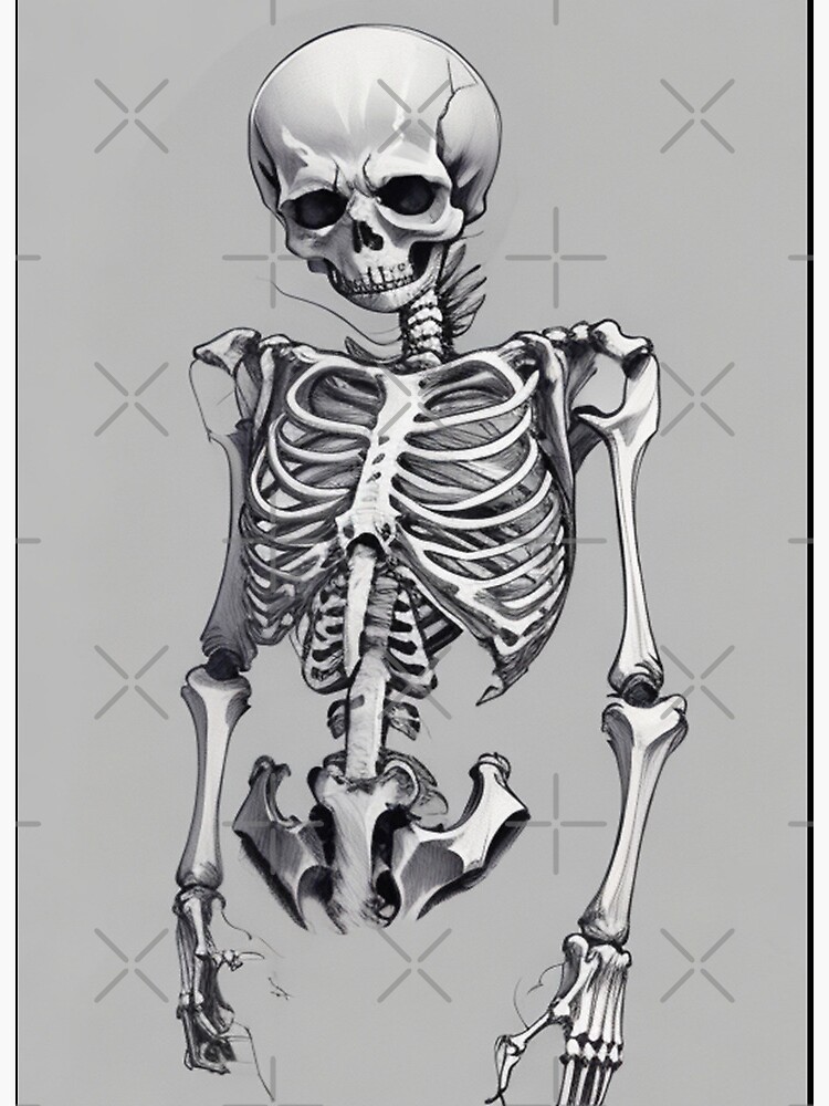 "Skeleton pencil drawing" Art Board Print for Sale by Pencil-Art ...