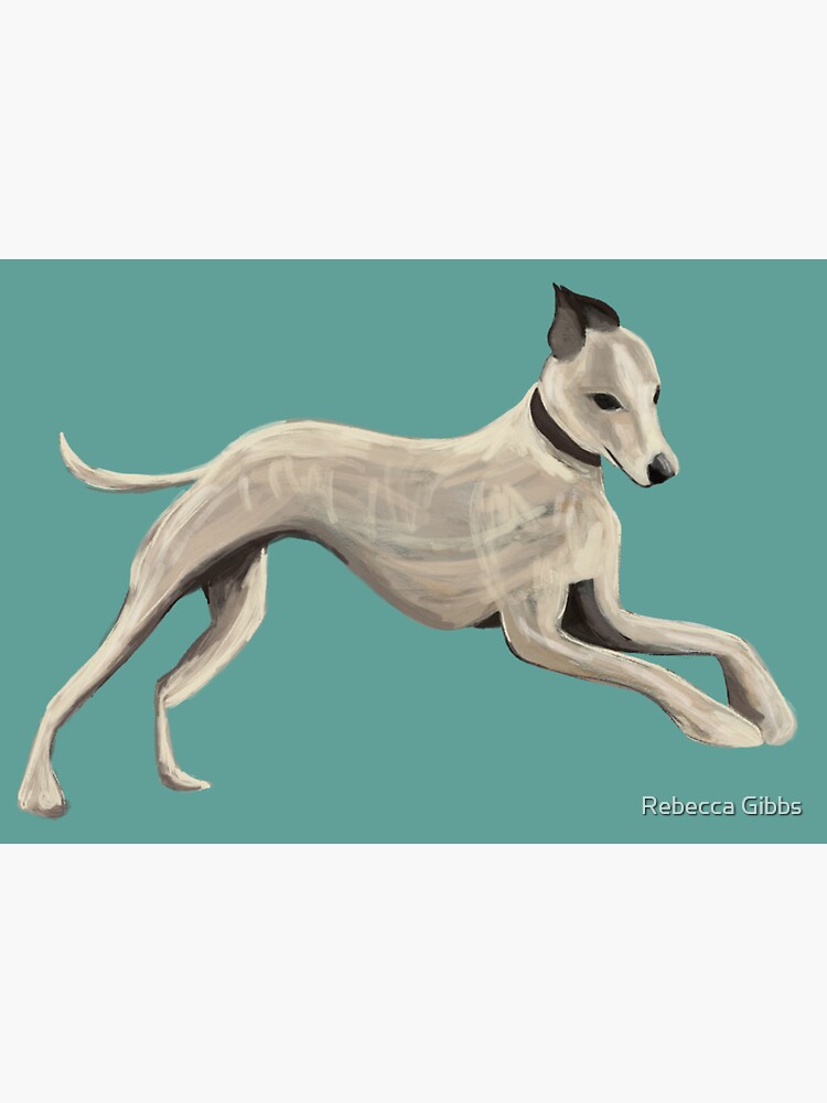 "Whippet Dog Painting " Sticker for Sale by Rebecca Gibbs | Redbubble