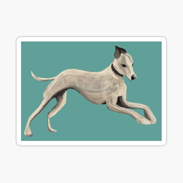 "Whippet Dog Painting " Sticker for Sale by Rebecca Gibbs | Redbubble
