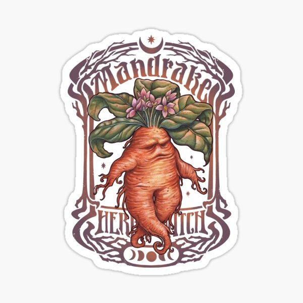 "WITCH HERBARY: MANDRAKE" Sticker for Sale by Medusa Dollmaker | Redbubble