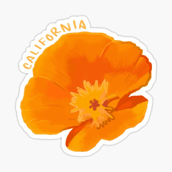 "california state flower - california poppy" Sticker for Sale by red ...