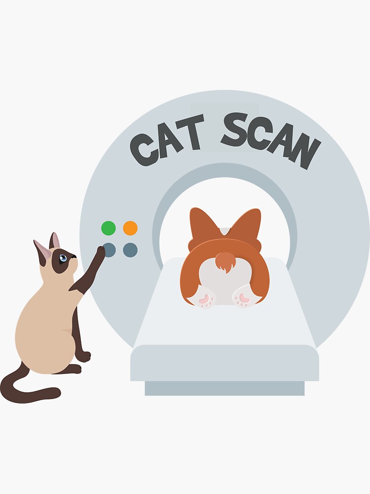 "Cat Scan " Sticker for Sale by FLHeifer | Redbubble